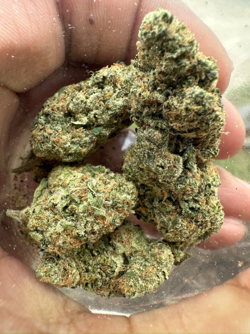 Terpenes and Cannabis Strains Explained: A Guide to Medicinal Benefits and Finding the Perfect ...